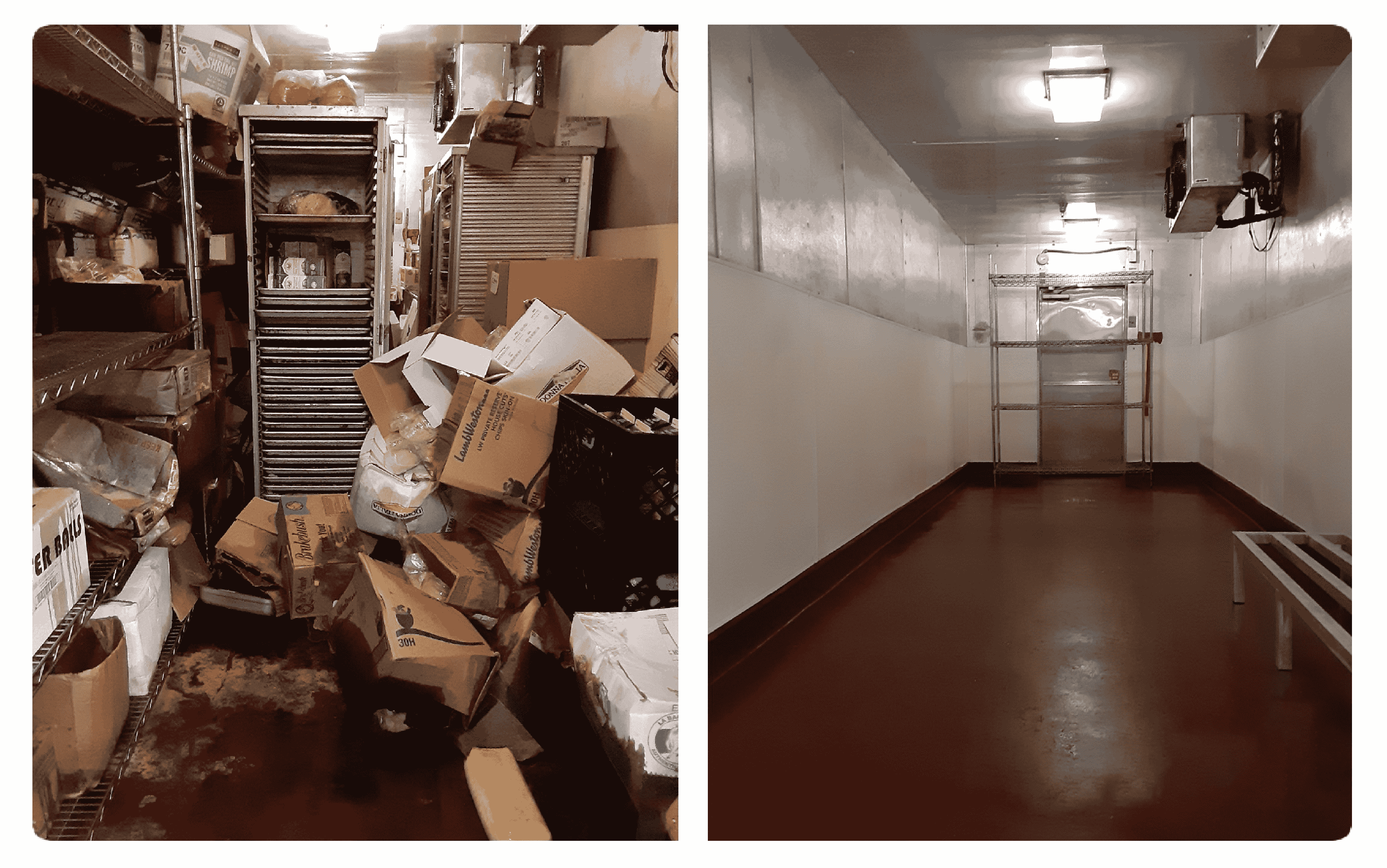 5 Shocking Biohazard Examples in Everyday Life - Bio-One Sacramento